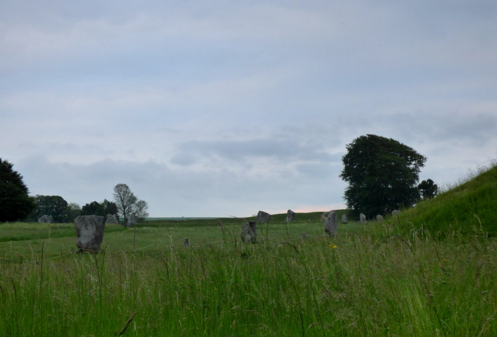 The Great Mystery: Dreaming… Stuart France | Sue Vincent's Daily Echo