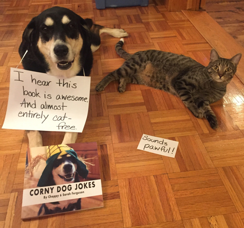 Howlidays: Read a New Book Month – Travels with Choppy | Sue Vincent's ...