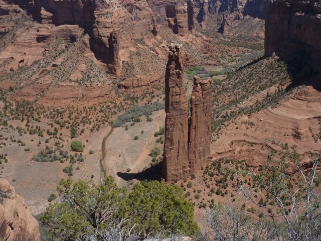 Living Lore: Lyn Horner ~ Spider Woman | Sue Vincent's Daily Echo