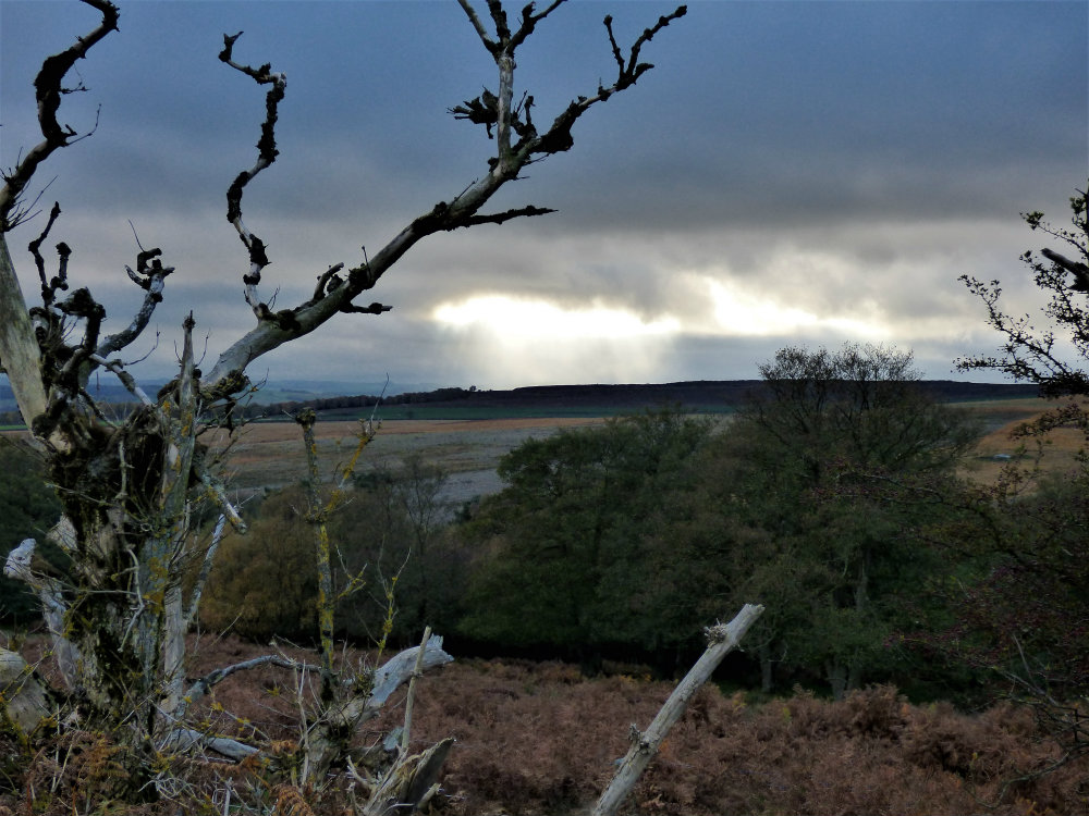 Thursday photo prompt: Stark #writephoto | Sue Vincent's Daily Echo
