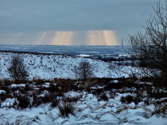 Backdrop ~ Na’ama Yehuda #writephoto | Sue Vincent's Daily Echo